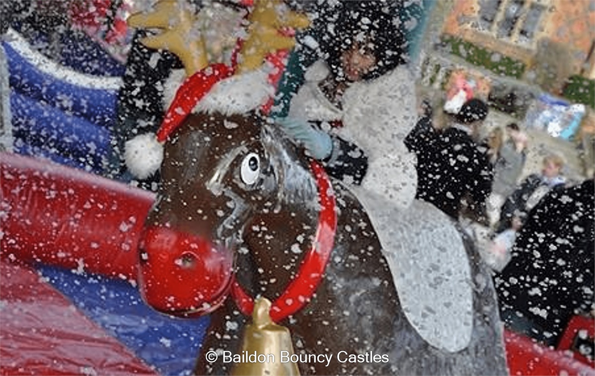 Rodeo Reindeer Hire - Includes STAFF (up to 4hrs)