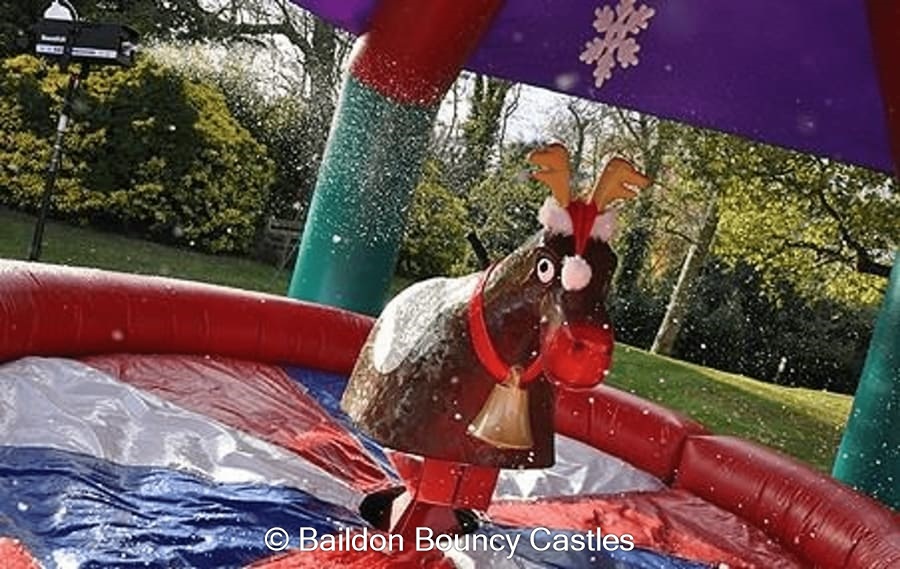 Rodeo Reindeer Hire - Includes STAFF (up to 4hrs)